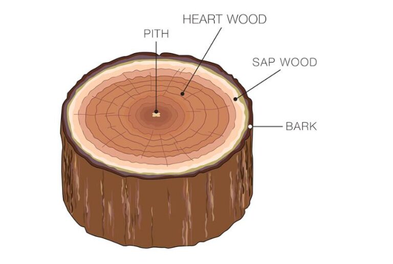 Different Grades and Origins of Teak